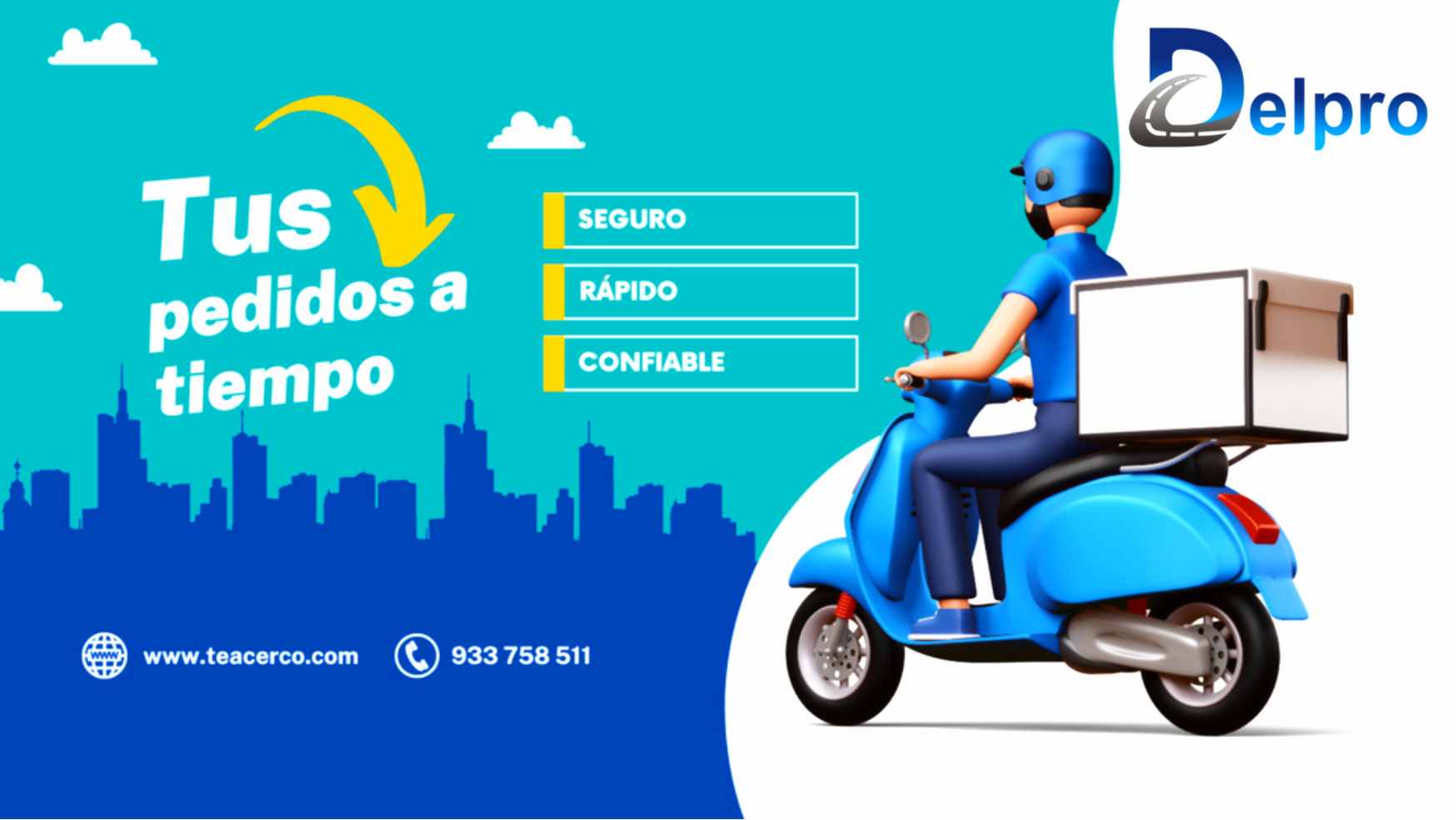 DELPRO - Delivery Profesional